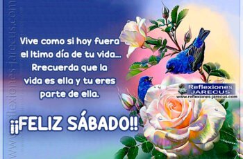 Dios bendiga tu día, Feliz sábado - Frases y mensajes en imágenes