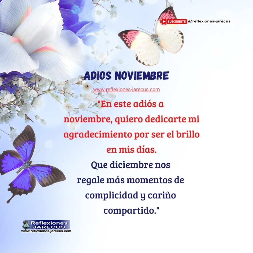 Adiós Noviembre: Mensajes de Gratitud y Bienvenida a Diciembre